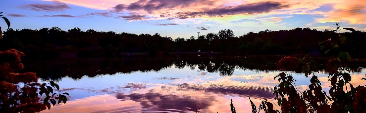 Randolph Maps | Randolph Township, NJ